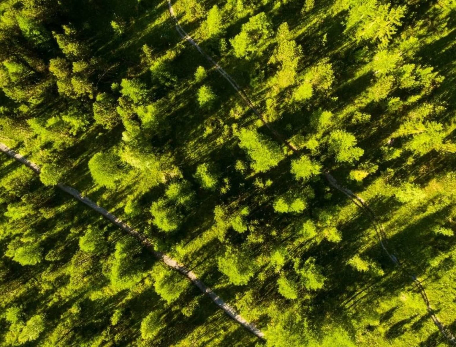 Über uns – Unsere Geschichte und Vision - Eturnity AG